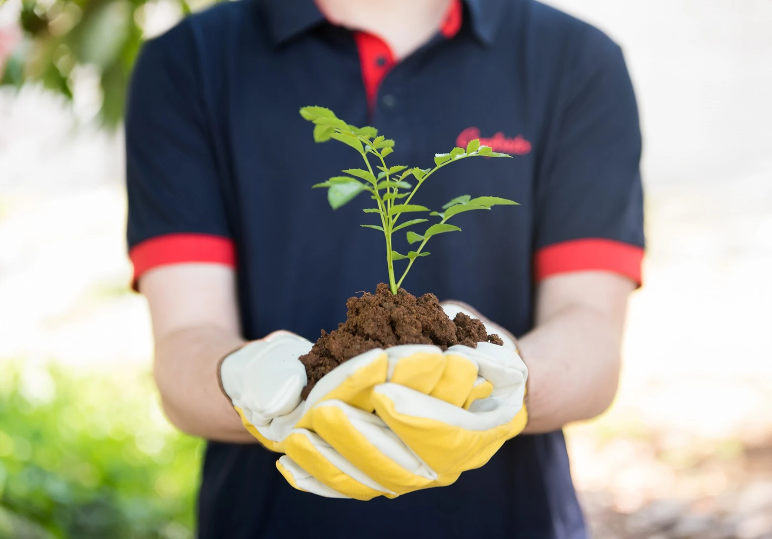 IBTeC Instituto Brasileiro de Tecnologia do Couro, Calçado e Artefatos